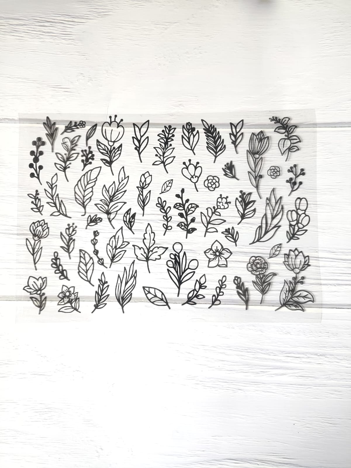 Flower OHP/ Transparent Sheet A4 - D05 – Fzcraftsupplies