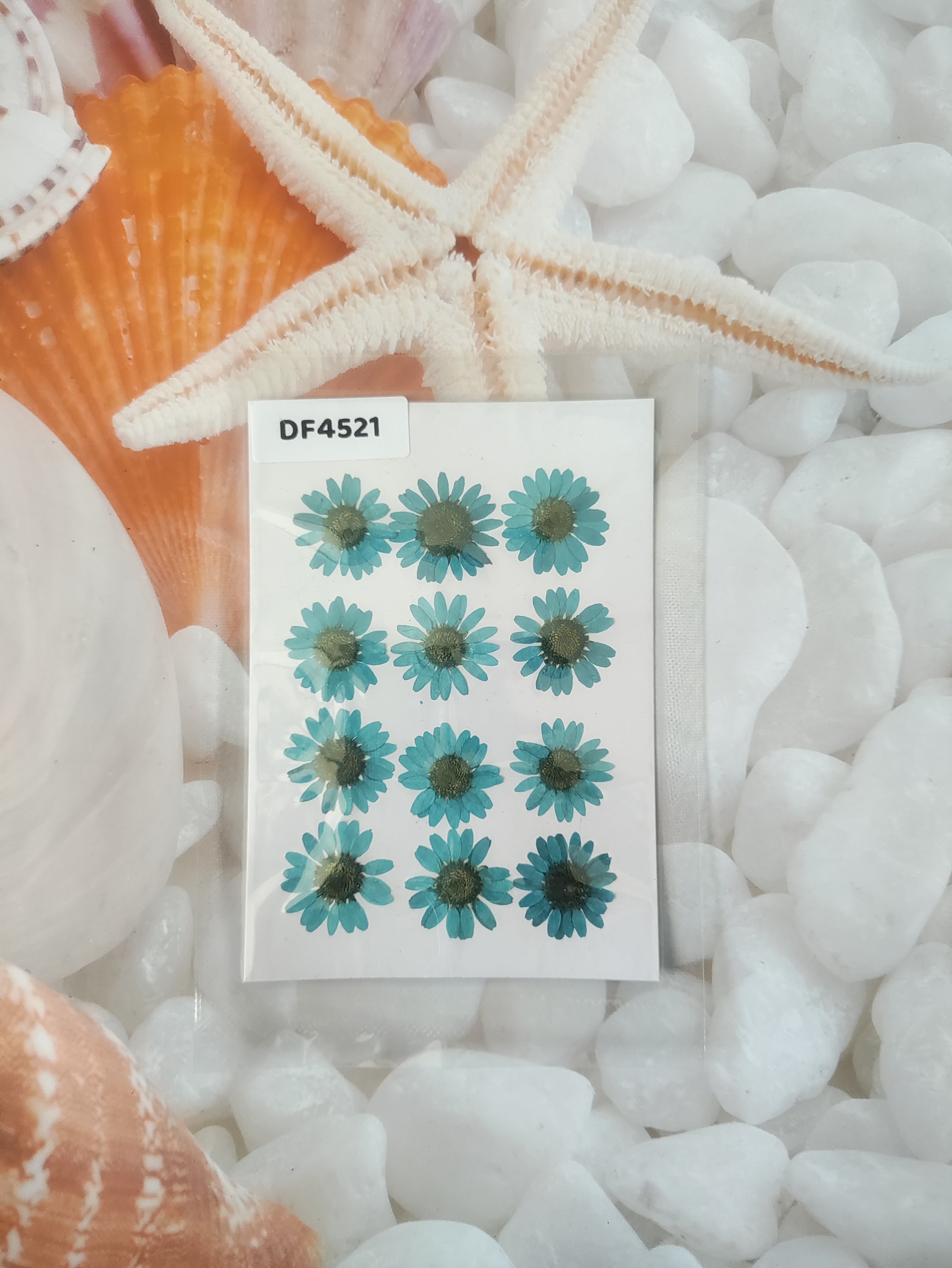Daises - Blue – Fzcraftsupplies
